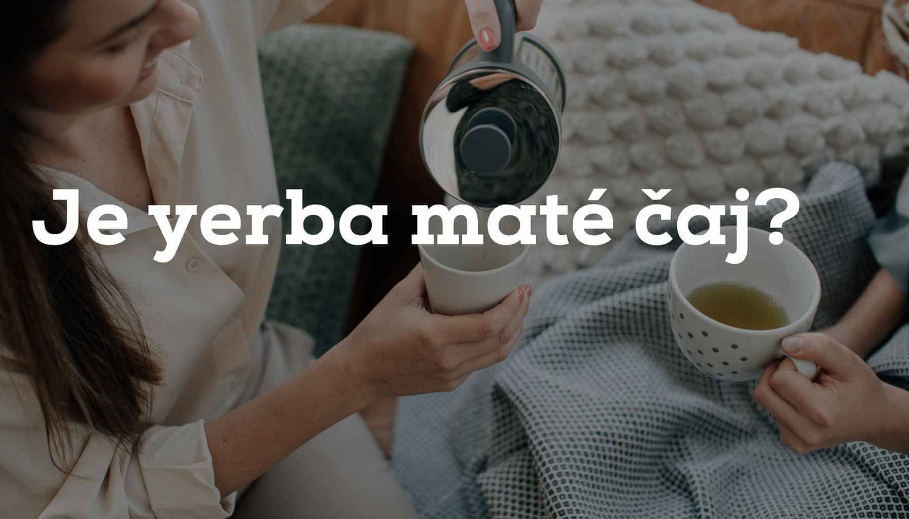 Je yerba maté čaj?